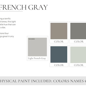 Light French Gray MINI - Paint Palette, Staging Real Estate, Whole ...