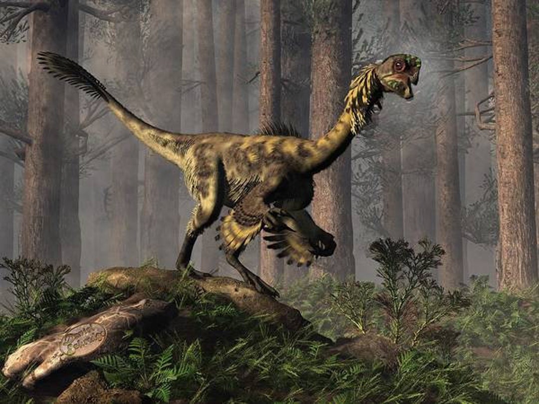 Citipati, Download, Downloadable Art, JPG, Print at Home Dinosaur ...