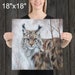 Canadian Lynx - Print - Wildlife Wall Art - Etsy