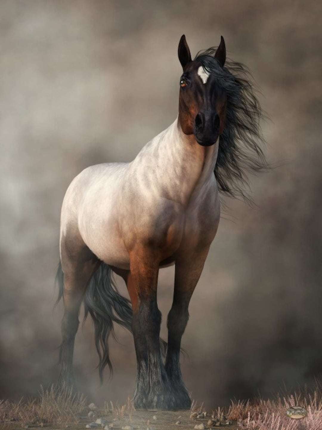 Bay Roan, Horse Themed Wall Art Print - Etsy