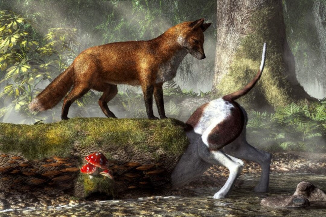 Outfoxed Print Humorous Hunting Wall Art Featuring Dog and Fox - Etsy