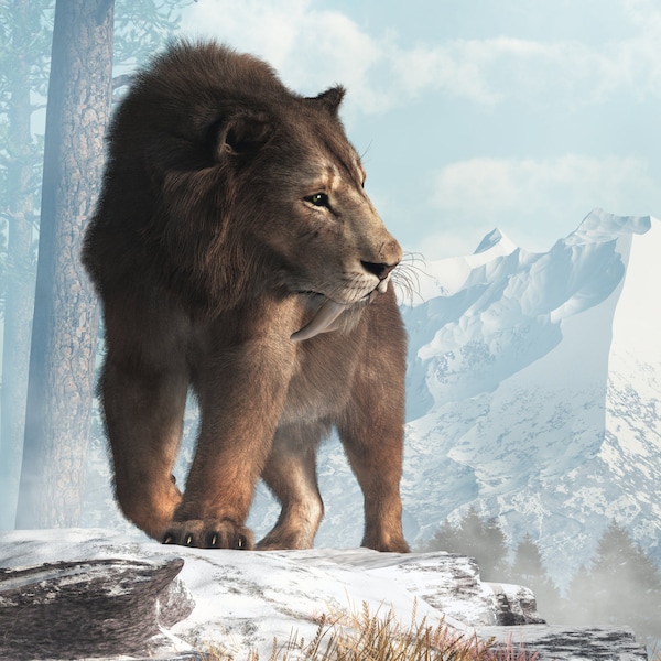 Saber Tooth Cat Art - Etsy