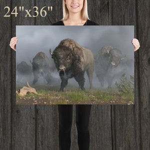 The Buffalo Vanguard, American Bison Themed Art Luster Print, Western ...
