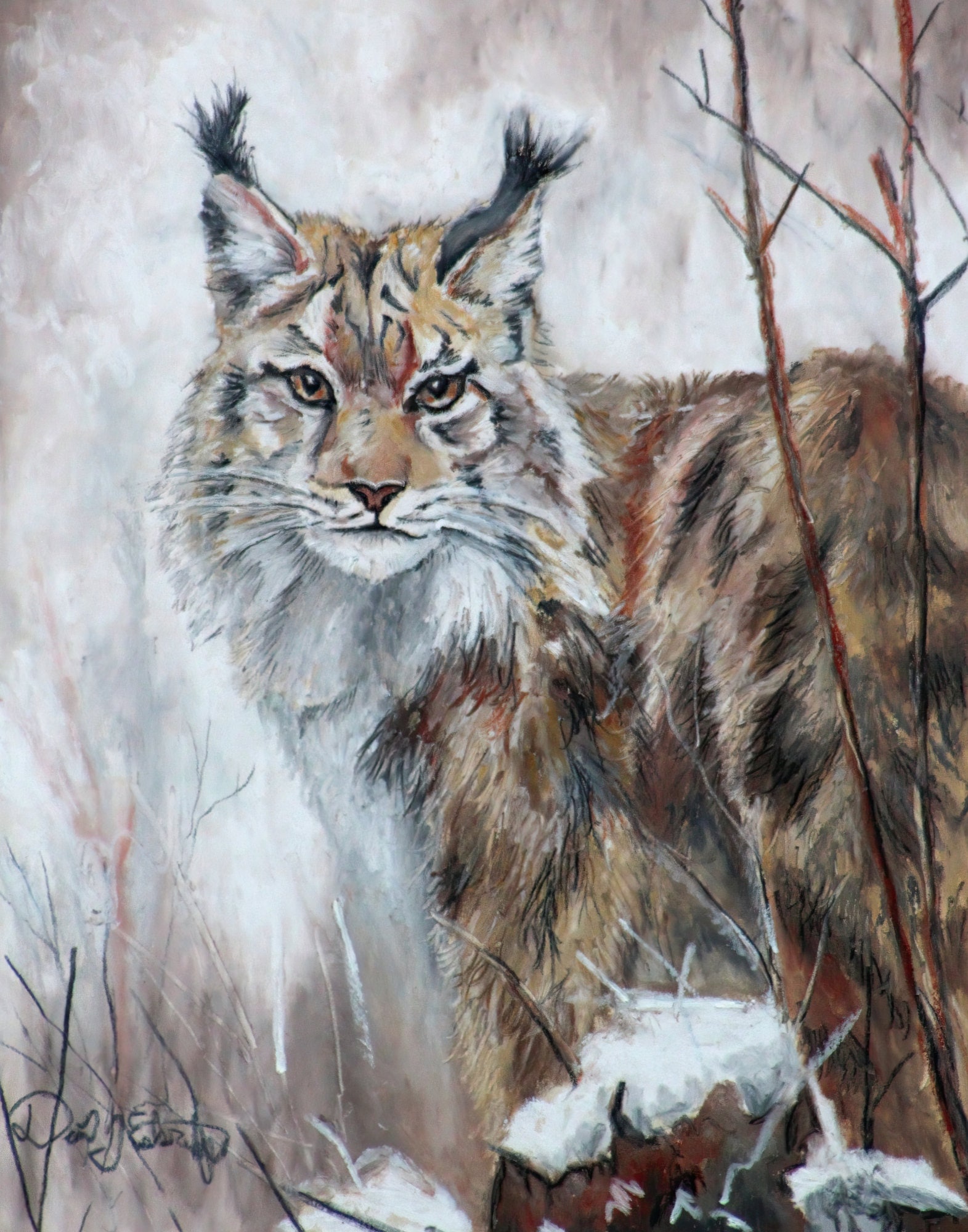Canadian Lynx - Print - Wildlife Wall Art - Etsy