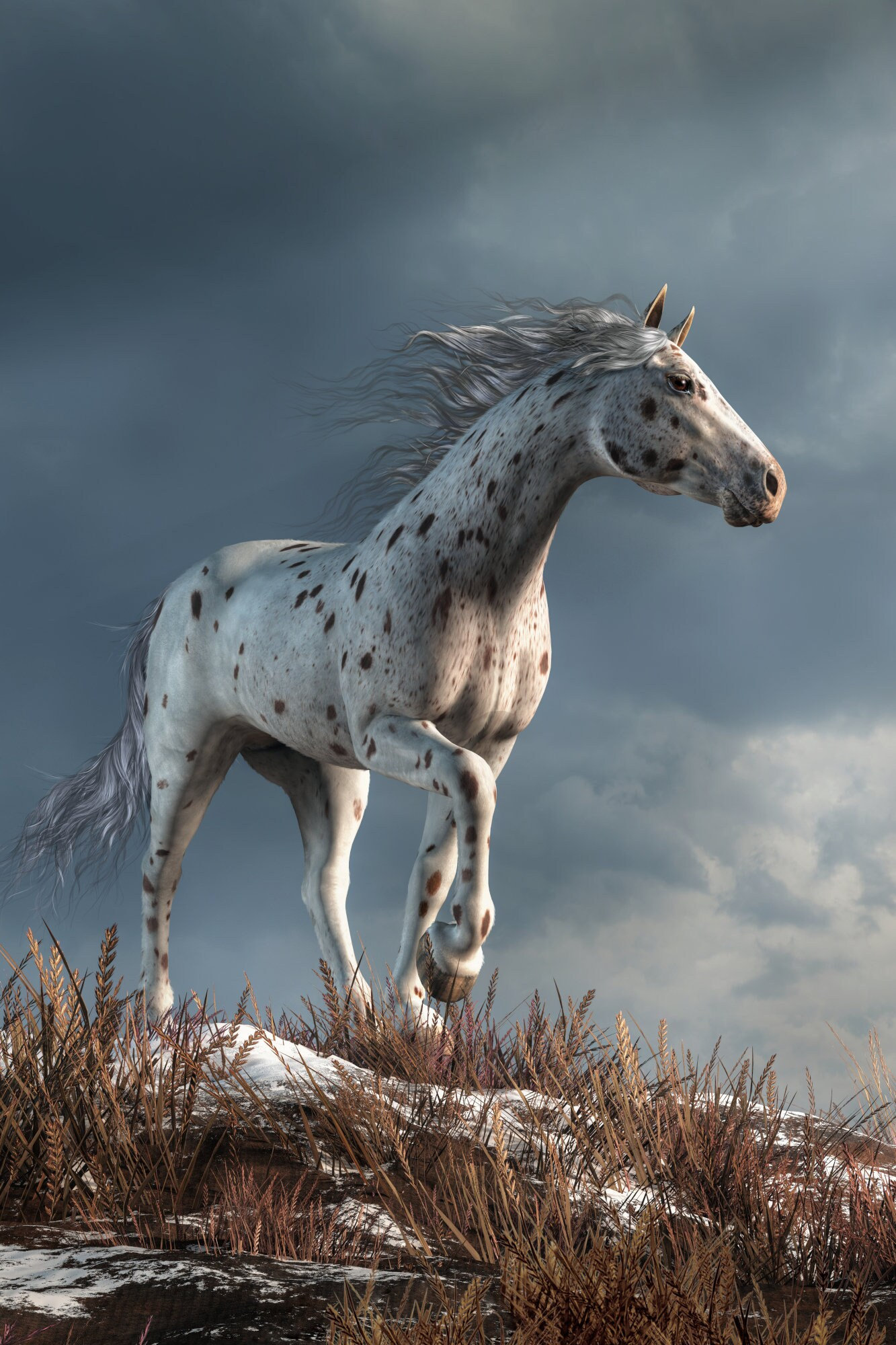 Wild Appaloosa in Winter - Print - Horse Themed Art - Etsy