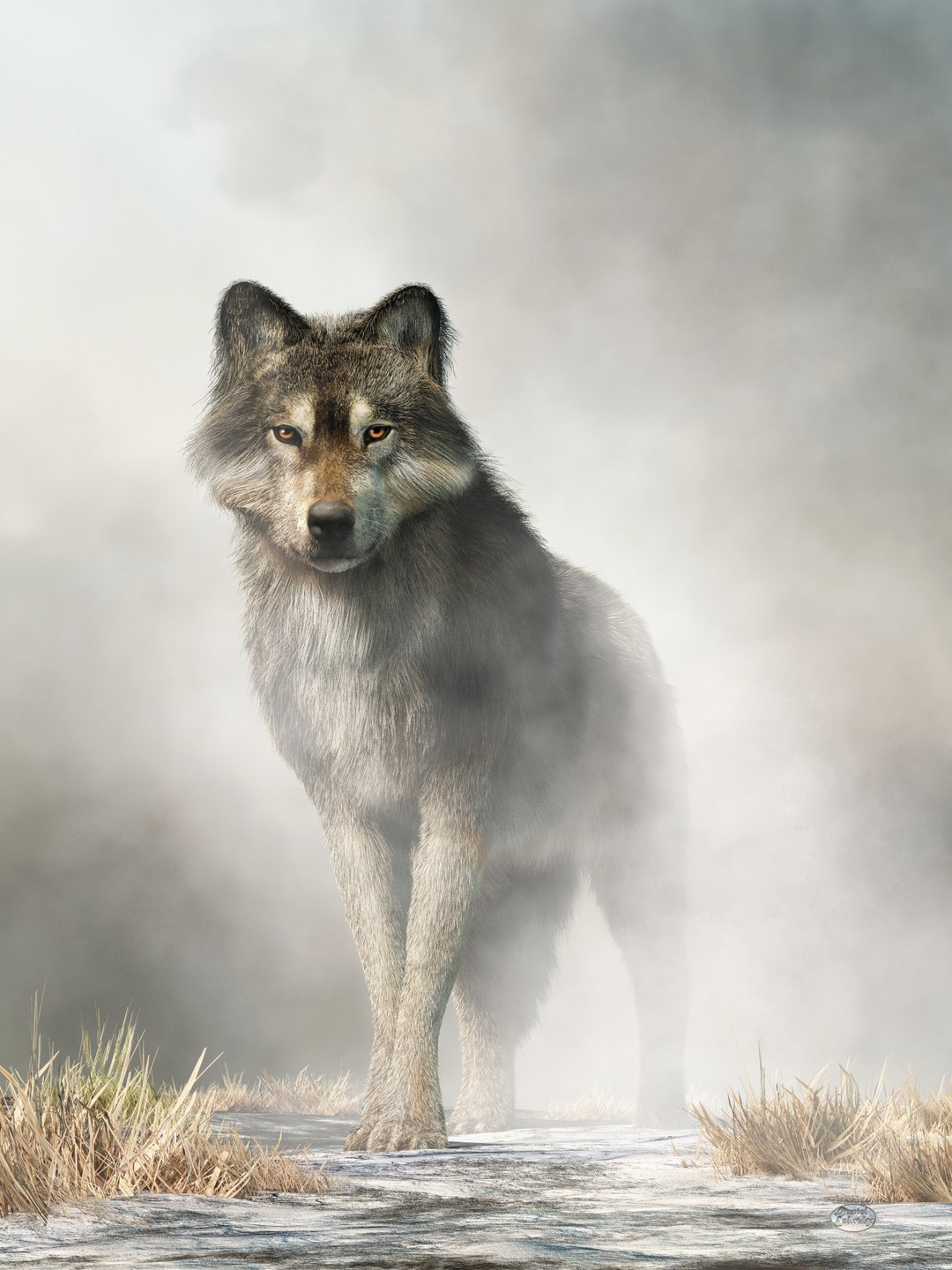 Gray Wolf in Fog - Print - Wildlife Wall Art - Etsy