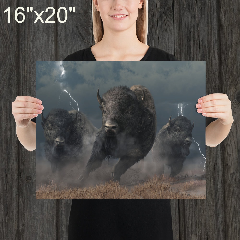 Buffalo Storm -- Wild West Bison Art Print - Etsy