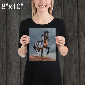 Spirit Horse - Print - Native American Horse Art - Etsy