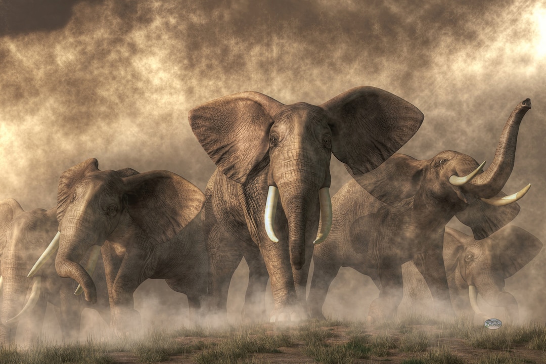 Elephants Stampede - Print - Charging Elephant Wall Art - Etsy