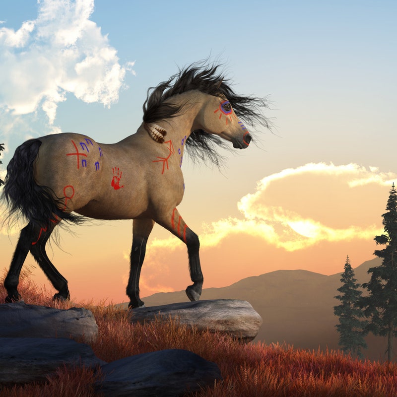 Buckskin - Etsy