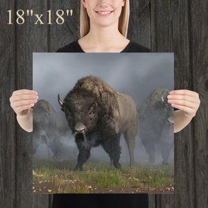The Buffalo Vanguard, American Bison Themed Art Luster Print, Western ...