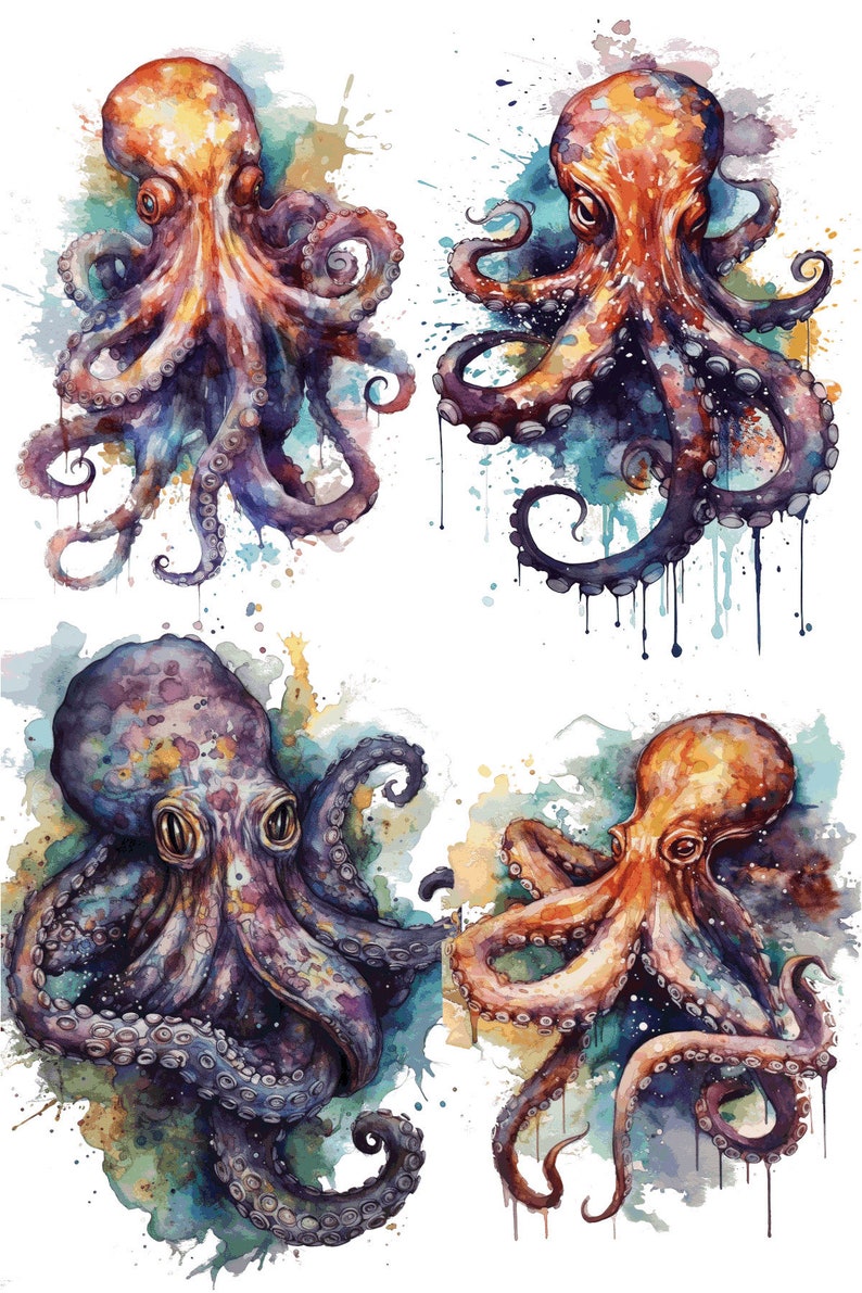 20 Octopus Watercolor Inspired Sublimation Designs transparent PNG ...