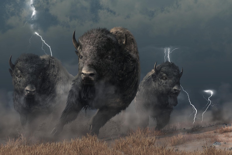 Buffalo Storm -- Wild West Bison Art Print - Etsy
