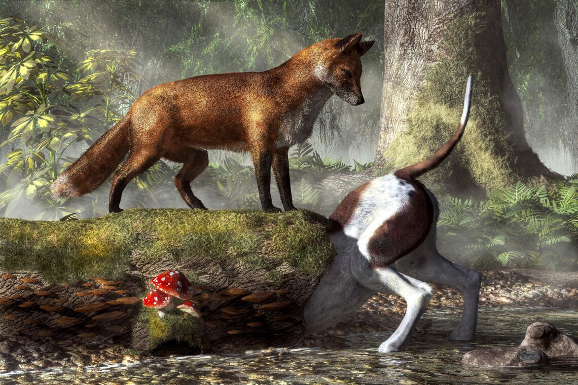 Outfoxed - Print - Humorous Hunting Wall Art Featuring Dog and Fox - Etsy