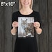 Canadian Lynx - Print - Wildlife Wall Art - Etsy