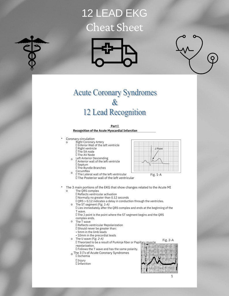 12 Lead EKG Cheat Sheet ACLS Paramedic EMS - Etsy