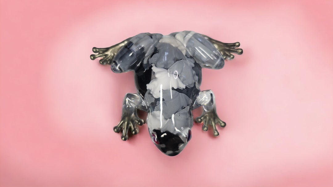 Resin "frog-ception" Frog Decor - Etsy