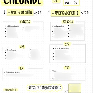 Electrolyte Bundle - Etsy