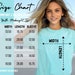 Printify Comfort Colors 1717 Color Chart, 2023 Printify Color Chart ...