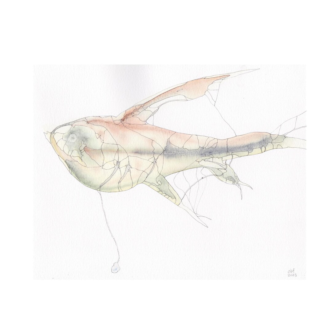 Original and Unique, Watercolor, Ink Drawing, Ocean Art, Fish Art, Gift ...