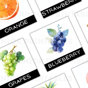 20 Fruit Flash Cards | Flashcards for Kids | Pre-school Cards ...