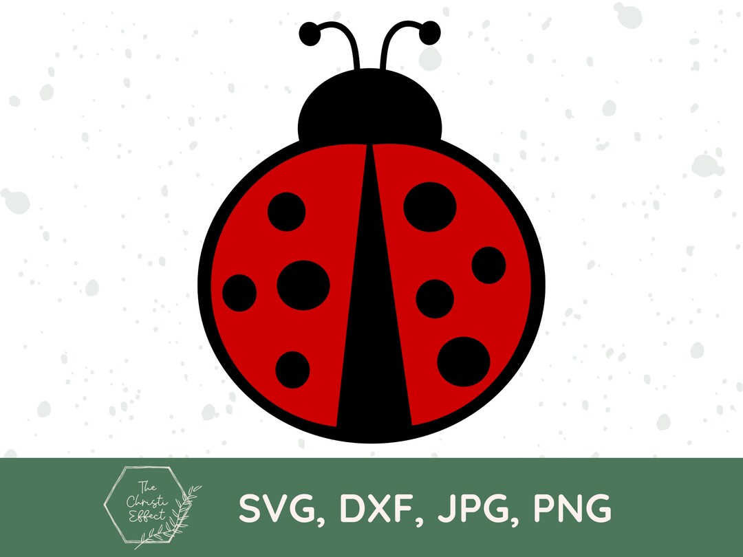 Lady Bug SVG PNG JPG, Insect Svg, Bug Svg, Preschool or Kindergarten ...