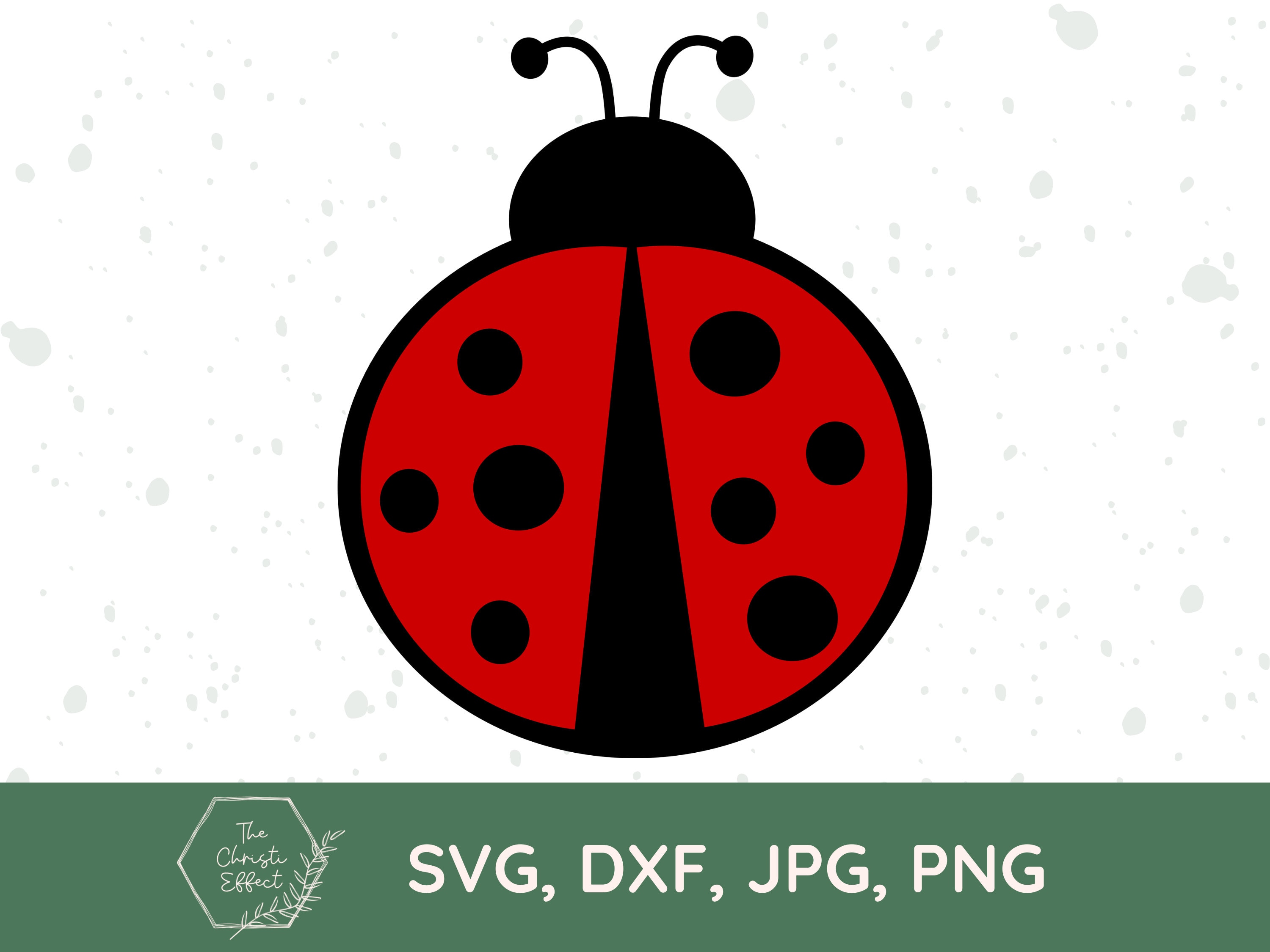Lady Bug SVG PNG JPG, Insect Svg, Bug Svg, Preschool or Kindergarten ...