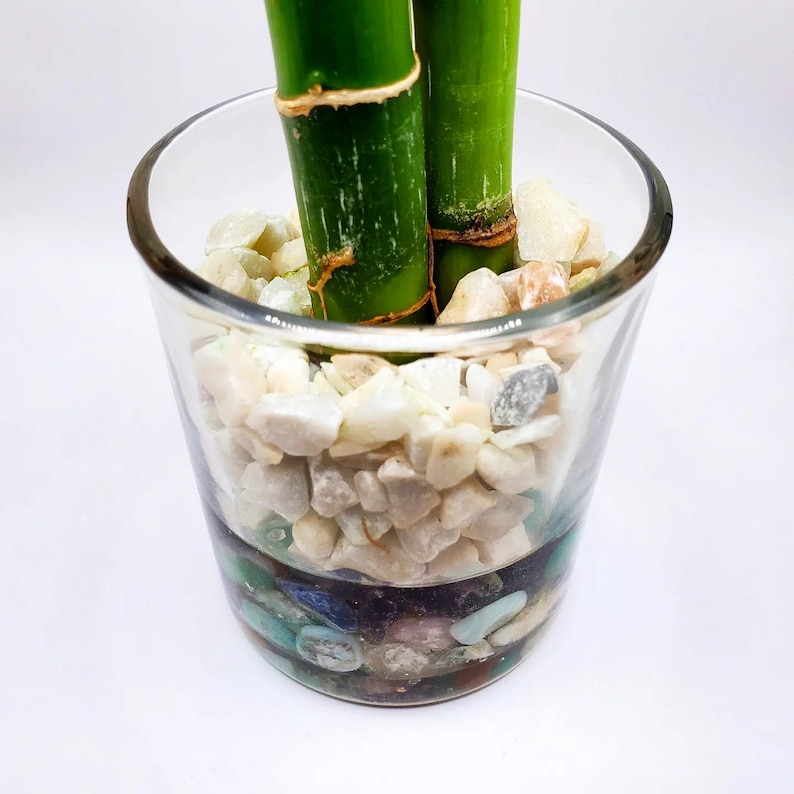 Moon-shine Black Tourmaline Obsidian & Moonstone Crystal - Etsy