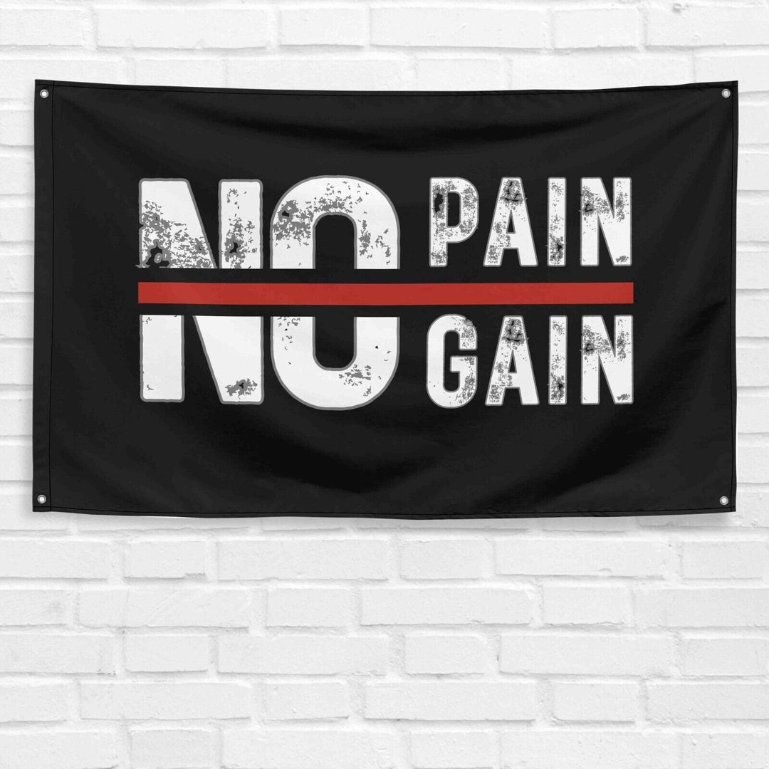 No Pain No Gain 3x5 Ft Gym Flag Fitness Body Building Weightlifting ...