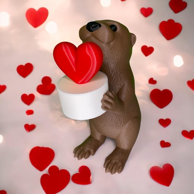 Otter Room Decorations - Etsy