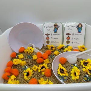 Fall Farm | Pumpkin Patch | Sensory Bin | Preschool Classroom Game ...