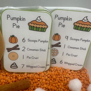 Make a Pumpkin Pie | Sensory Bin | Preschool Fall Unit Study Game ...