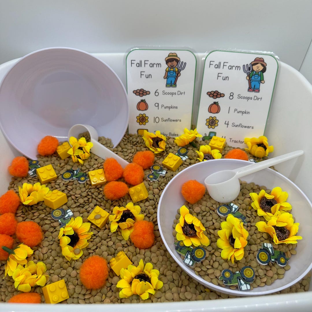 Fall Farm | Pumpkin Patch | Sensory Bin | Preschool Classroom Game ...