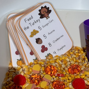 Feed the Turkey Sensory Bin | Sensory Bin | Preschool Thanksgiving Game ...