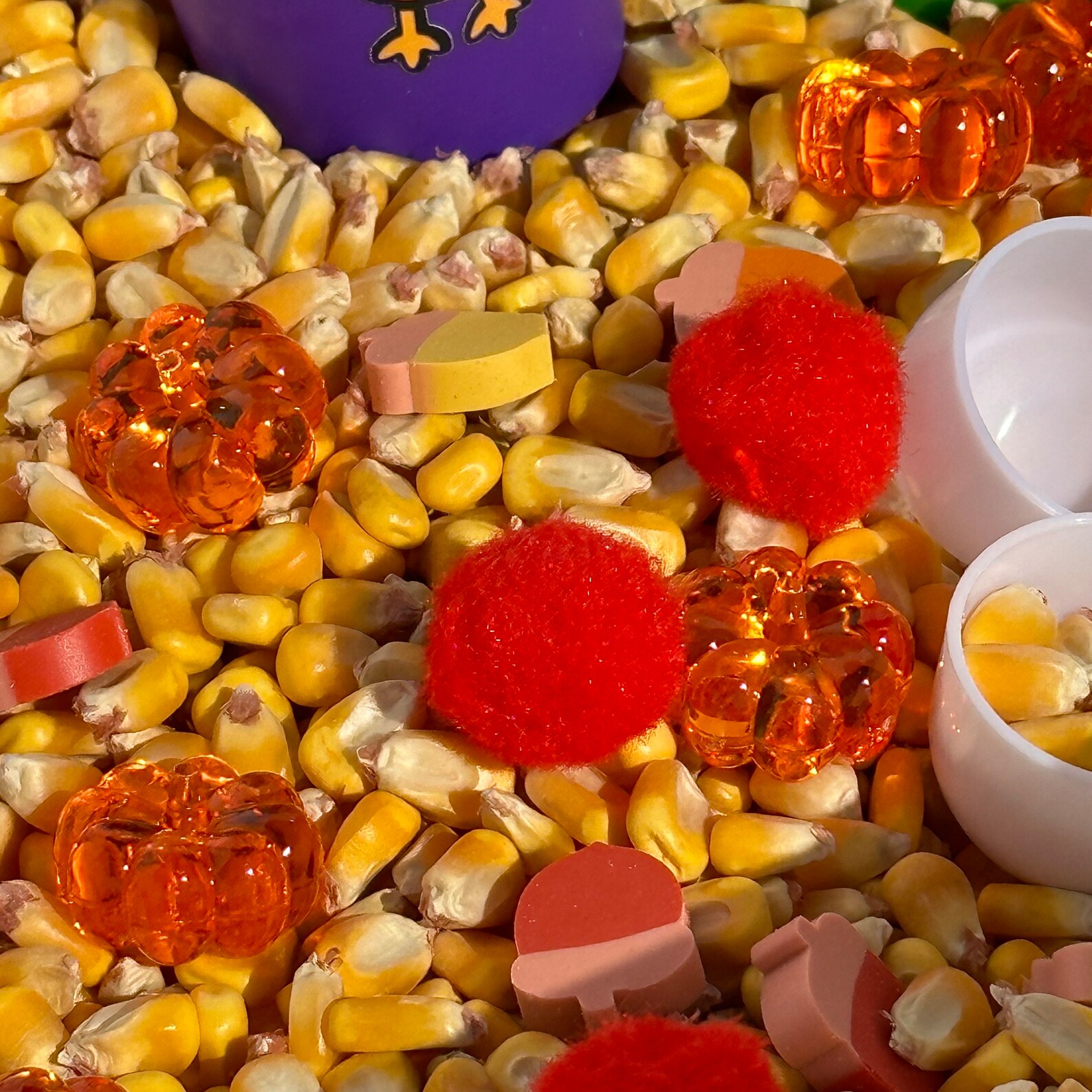 Feed the Turkey Sensory Bin | Sensory Bin | Preschool Thanksgiving Game ...