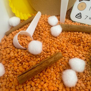 Make a Pumpkin Pie | Sensory Bin | Preschool Fall Unit Study Game ...