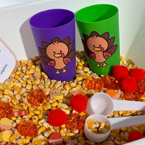 Feed the Turkey Sensory Bin | Sensory Bin | Preschool Thanksgiving Game ...