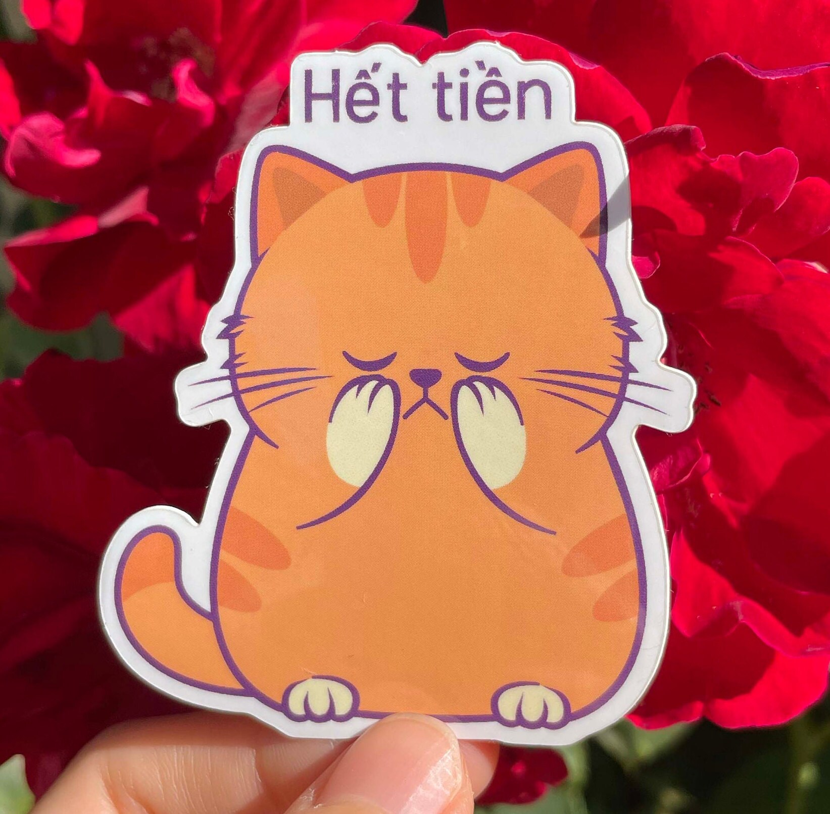 Hết Tiền Stickerno Moneyvietnamese Joke Giftfunny Cat ...