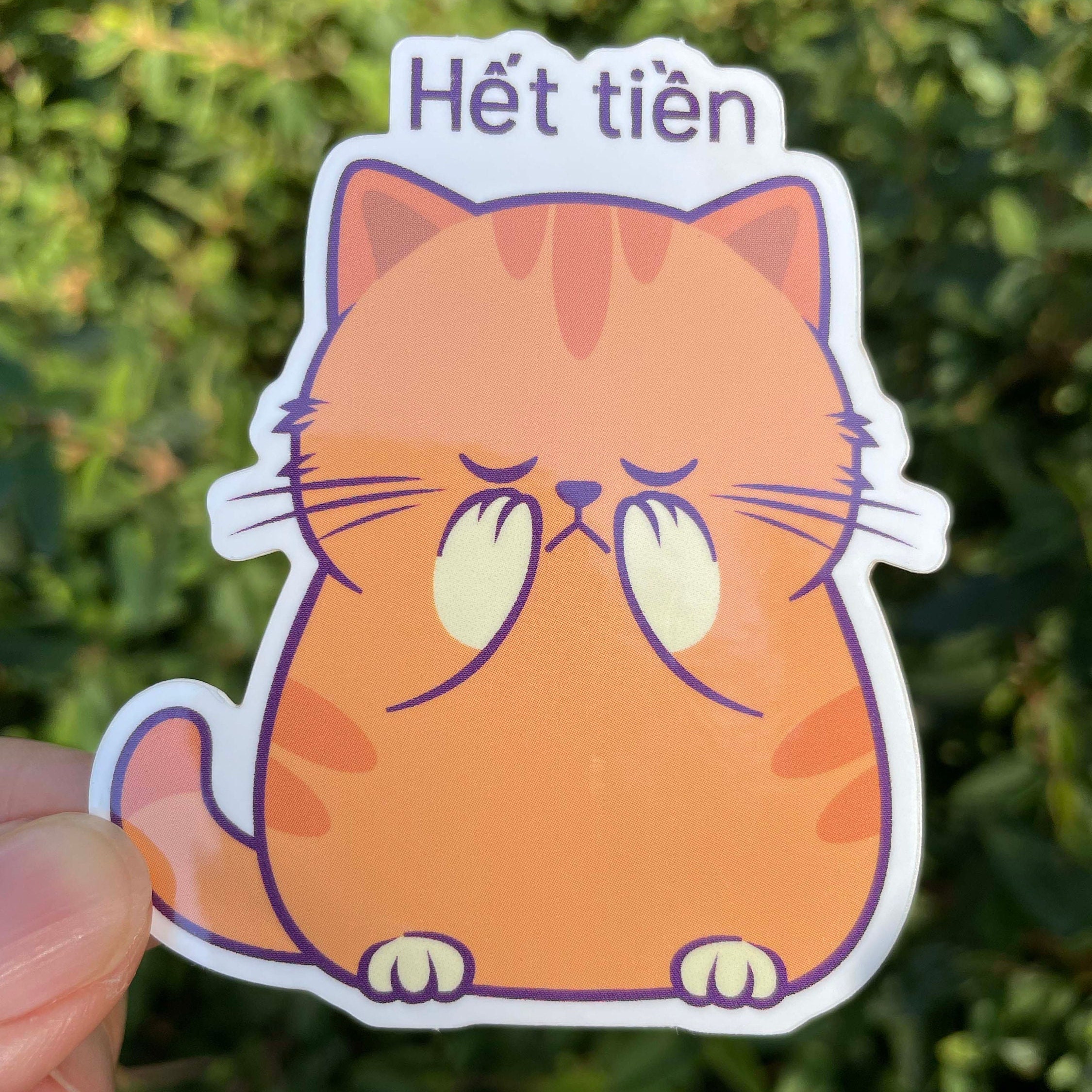 Hết Tiền Sticker|no Money|vietnamese Joke Gift|funny Cat Stickers ...