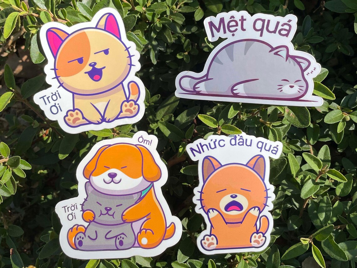 Vietnamese Funny Cat Sticker Packvietnamese Humor Stickerfunny Vietnamese Sticker Pack