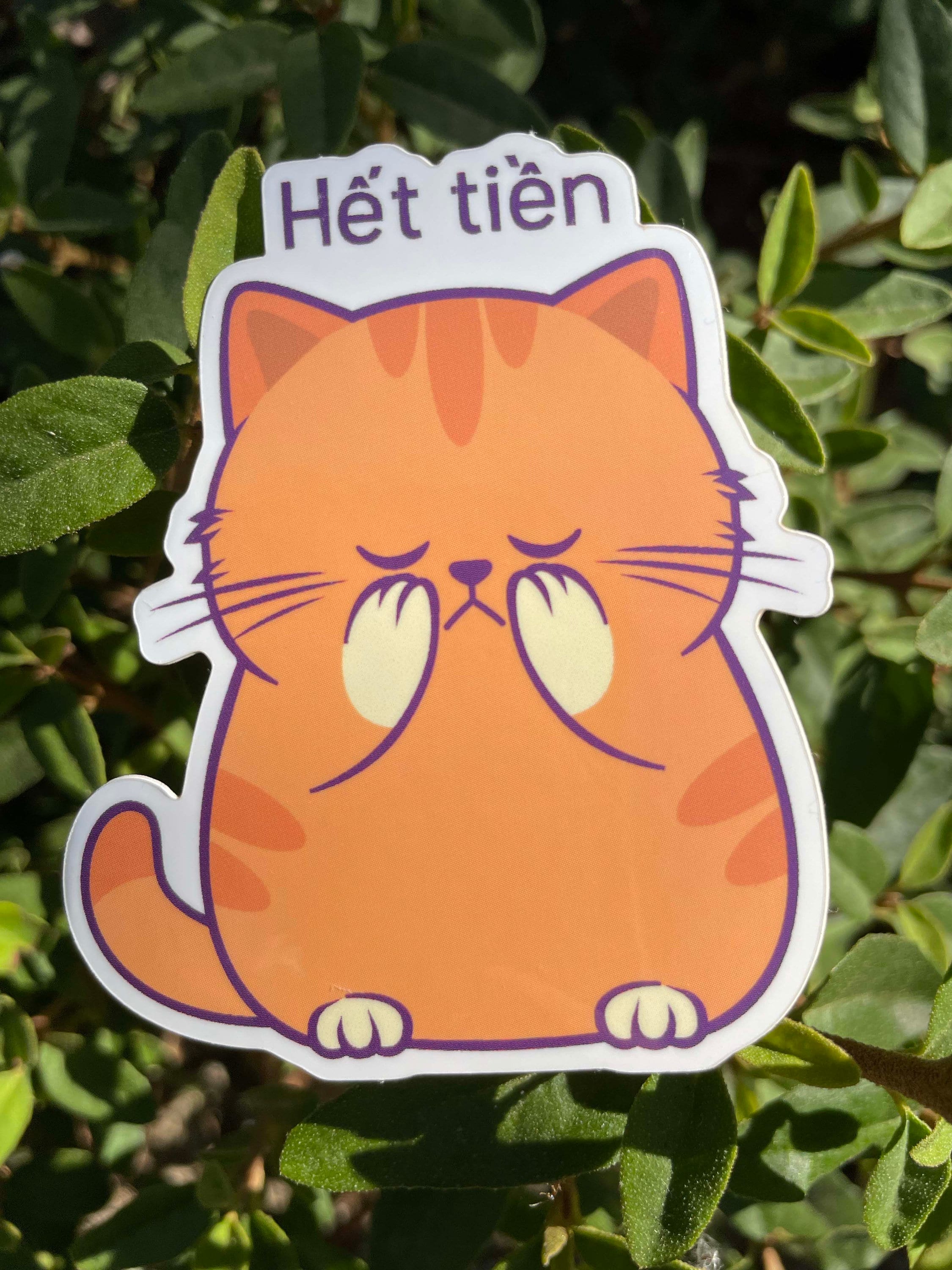 Hết Tiền Stickerno Moneyvietnamese Joke Giftfunny Cat ...