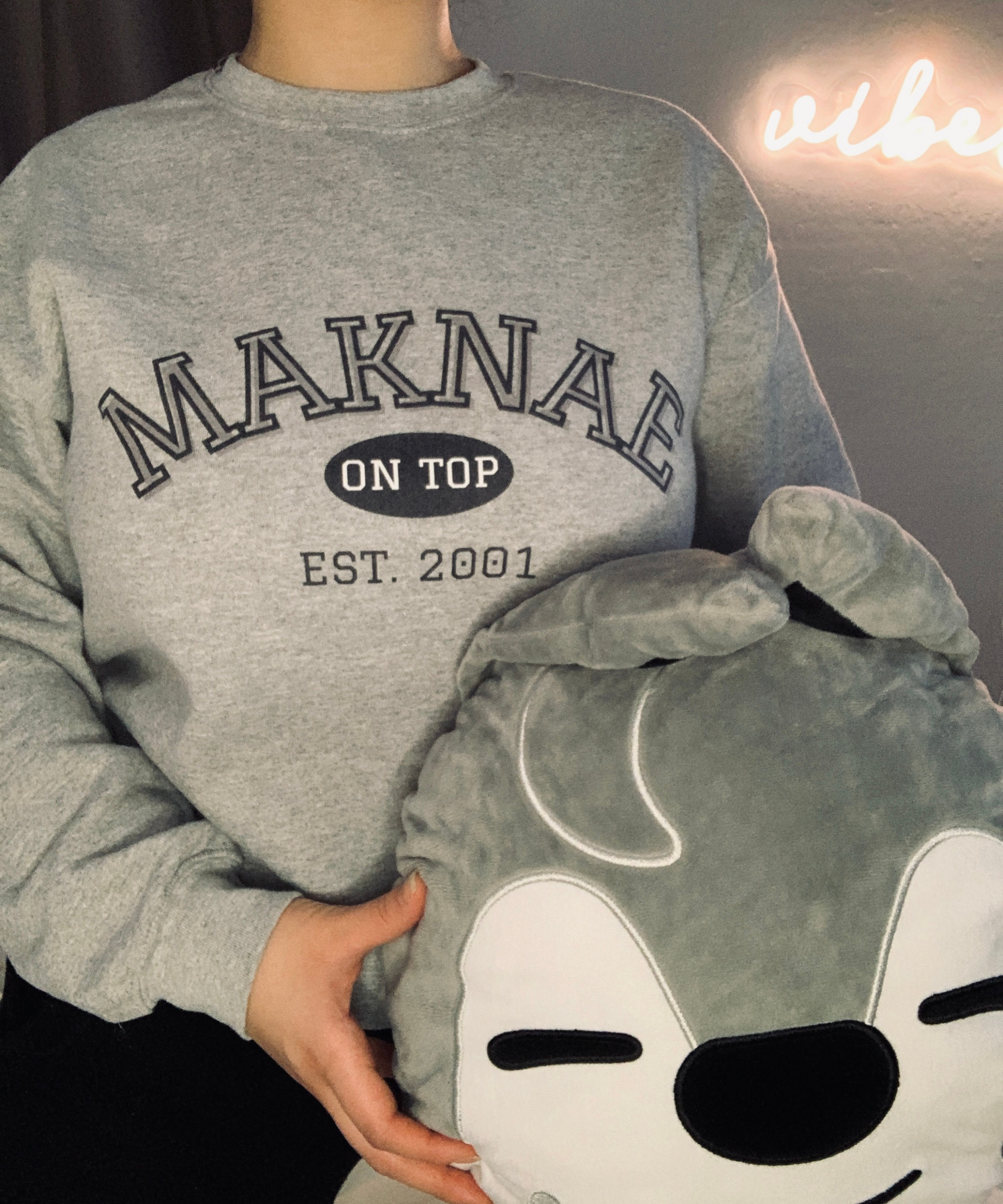 Gray Sweatshirt, Skz Merch, Stray Kids Merch, Skz, Stray Kids, Felix ...