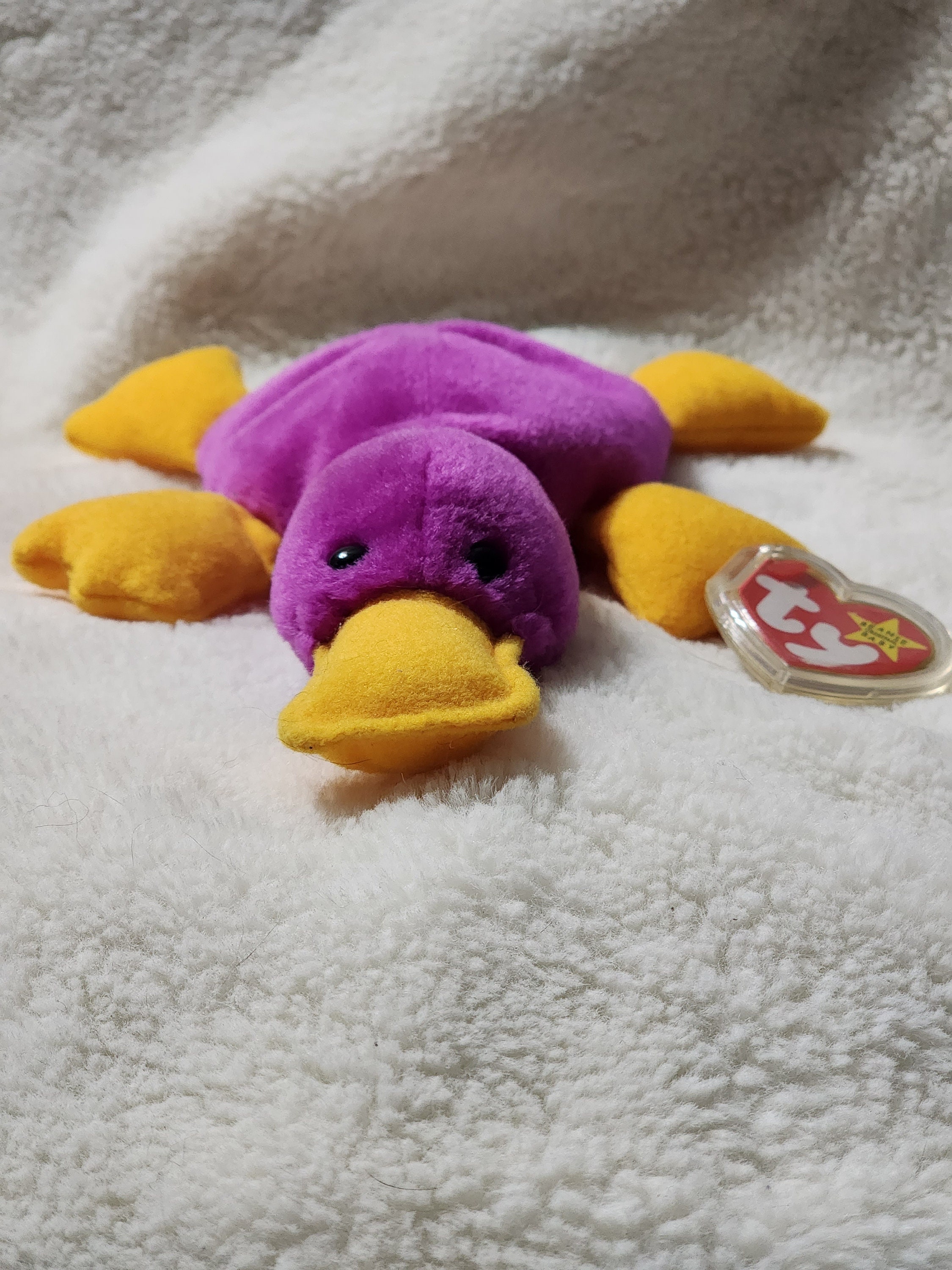 Very Rare "patti the Platypus" TY Beanie Baby 90's Collectors Item 1993 ...