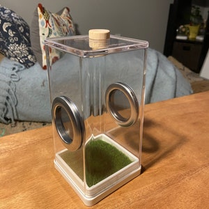 Tall Jumping Spider Enclosure - Etsy