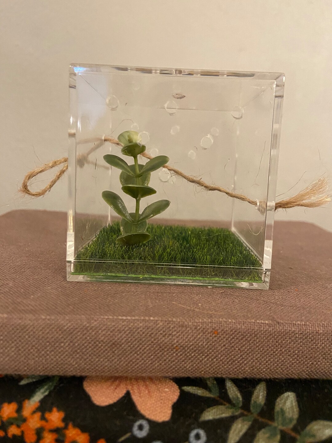 Mini Simple Jumping Spider Home - Etsy
