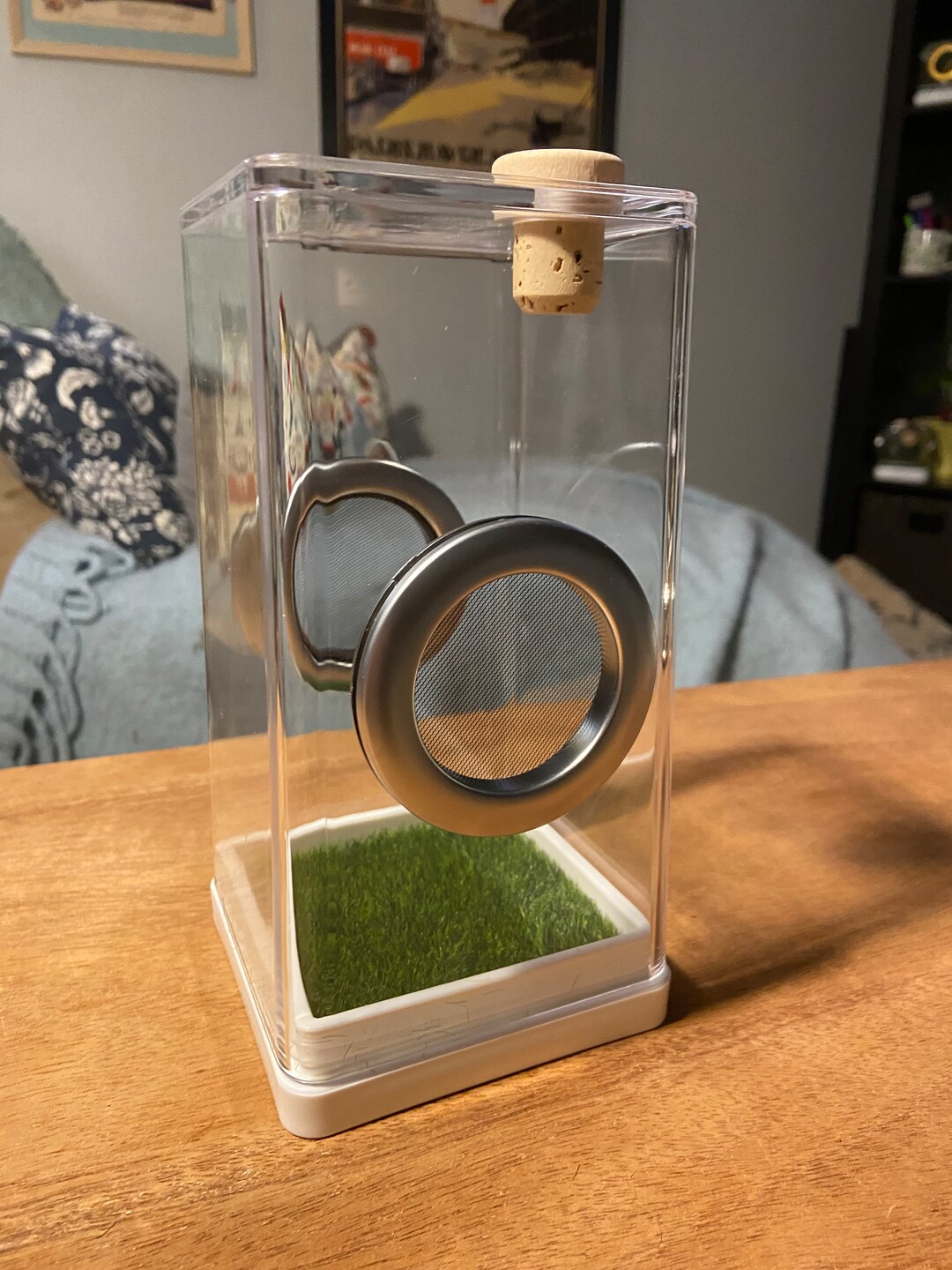 Tall Jumping Spider Enclosure - Etsy