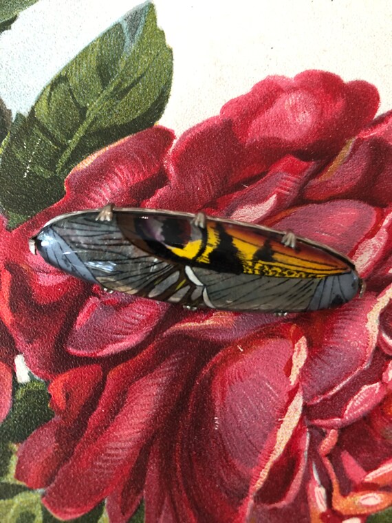 Antique Art Deco Oval Vintage Real Butterfly Wings Br… - Gem