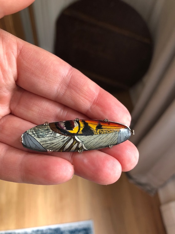 Antique Art Deco Oval Vintage Real Butterfly Wings Br… - Gem