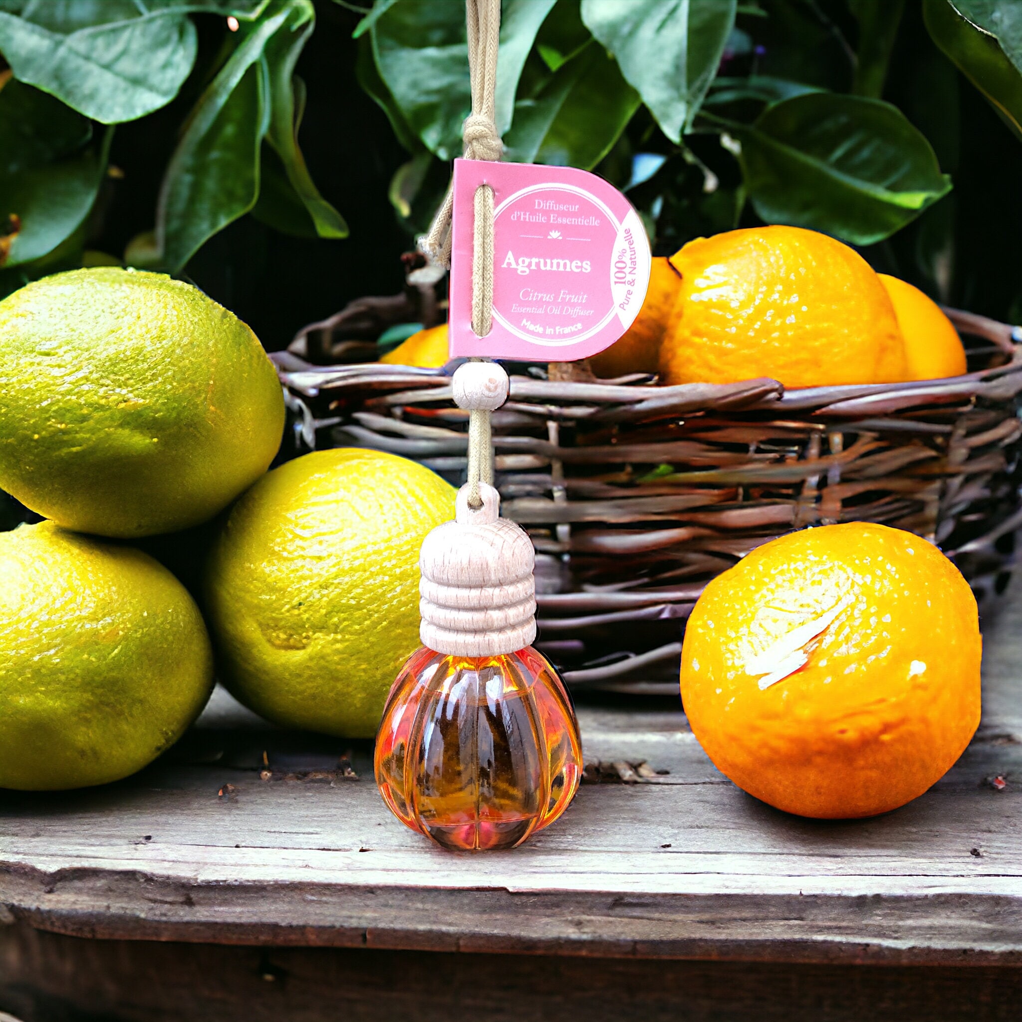 French Citrus Hanging Essential Oil Diffuser - Last Long 3 to 4 Weeks ...