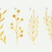 Gold Floral Clipart, Foliage Clipart, Gold Floral Elements, Botanical ...